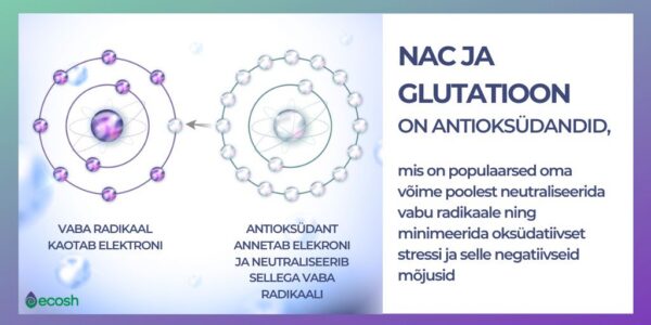 N-Atsetüül-L-Tsüsteiin (NAC) ja selle 15 kasutegurit sinu tervisele